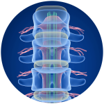Annular Tear Symptoms & Treatment Options
