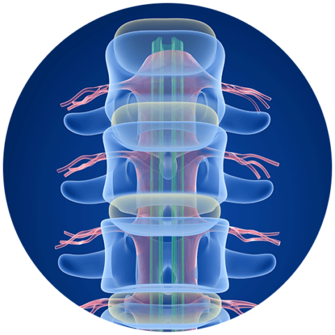 Annular Tear Symptoms & Treatment Options
