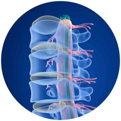 Bulging Disc Treatment | NJ & NY | The Advanced Spine Center